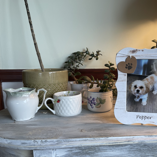 YOLOv8-det 示例 | Radxa Docs